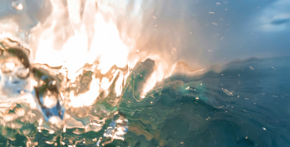 Anne HEITZ-BUTZ | L'Asclepiade | Coupeur de FEU